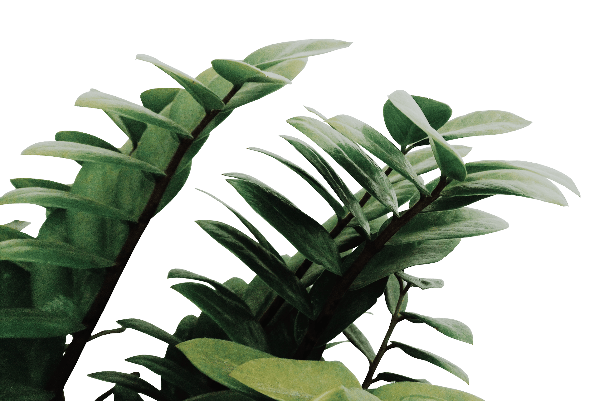 Location & Insurance - Catherine Rye