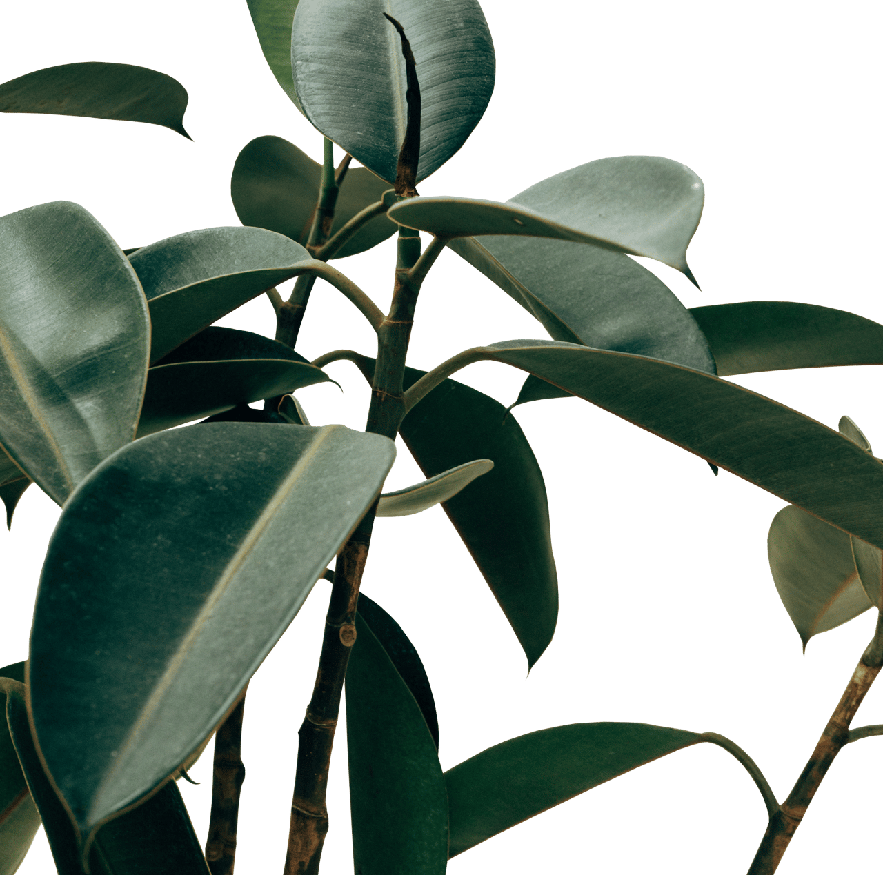 About - Catherine Rye